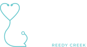 Love More Vets | Vet in Reedy Creek Gold Coast