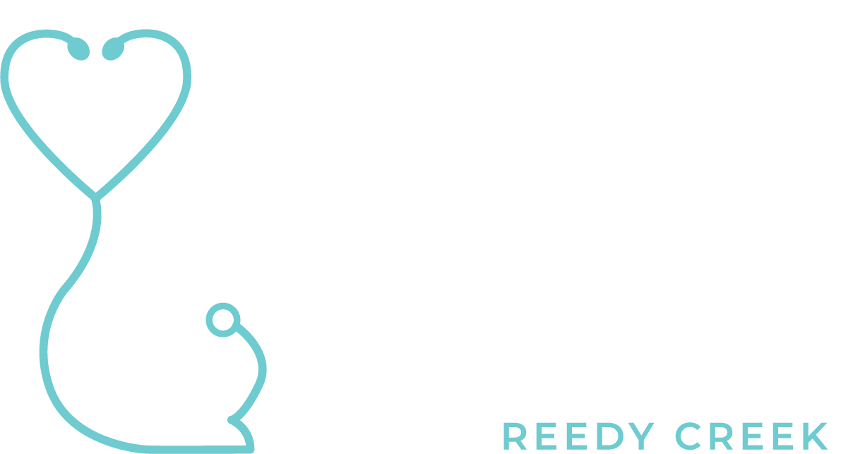 Love More Vets | Vet in Reedy Creek Gold Coast